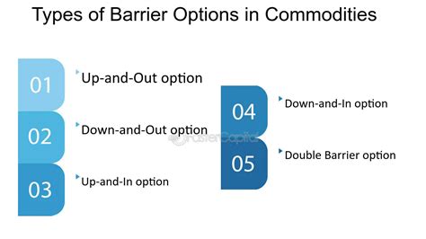 Barrier Option Quotes Key Features And Types Of Barrier Options