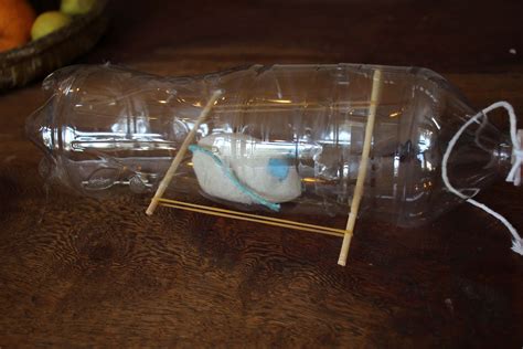 Make A Simple Bottle Mousetrap In DIY Steps Homify