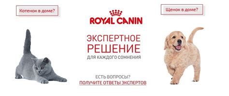 Корм для собак и кошек премиум класса - влажные и сухие корма для ...