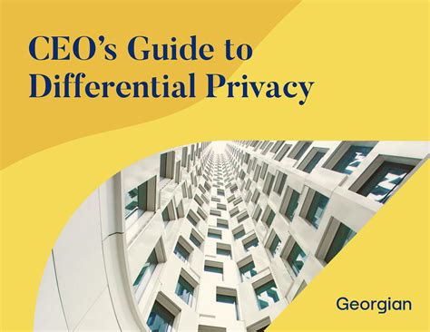 Ceos Guide To Differential Privacy