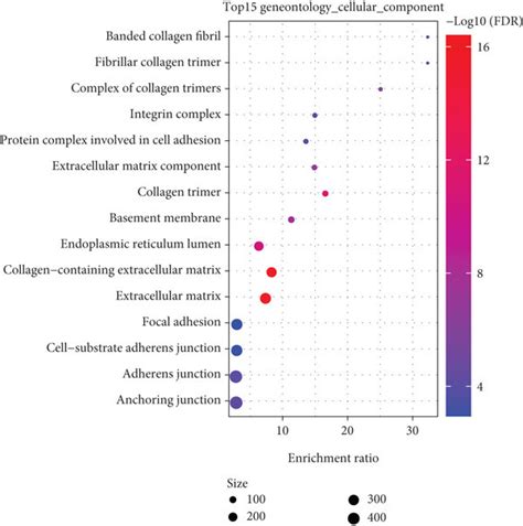 A Bp Annotation Map Of Lncrna To Genes B Cc Annotation Map Of