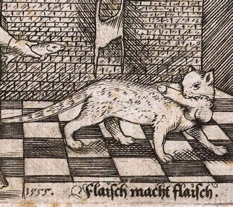 Medieval Cat Art Is Equally Hysterical And Perplexing Cole And Marmalade
