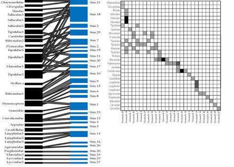 left simple bipartite network representation of interactions linked by