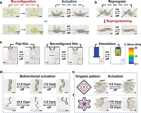 Designable 3d Dielectric Actuators A Shape Reconfiguration And