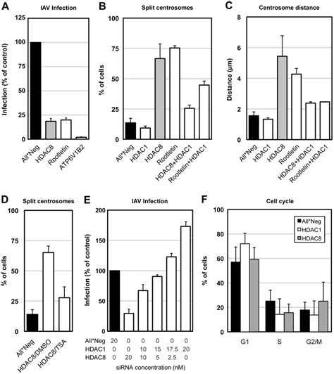 Centrosome Splitting Blocks Iav X31 Infection And Is Counteracted By