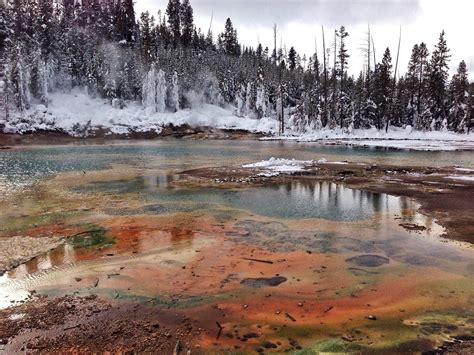 Winter At Norris Geyser Basin