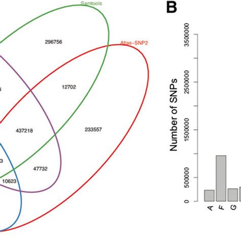 Effect Of Variant Calling Programs Used As Input On Sensitivity And Download Scientific Diagram