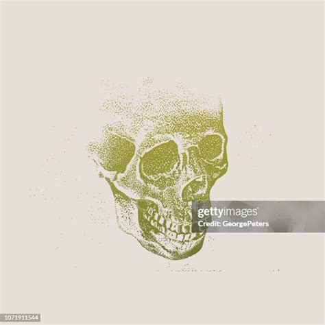 58 Human Jaw Bone Clip Art High Res Illustrations Getty Images
