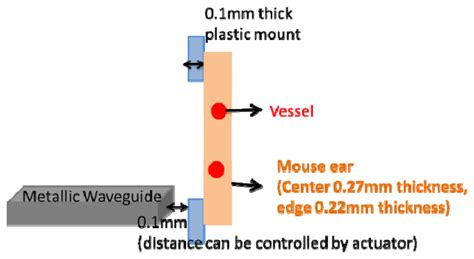 Schematic Diagram Showing The Distance Relation Between The Detector