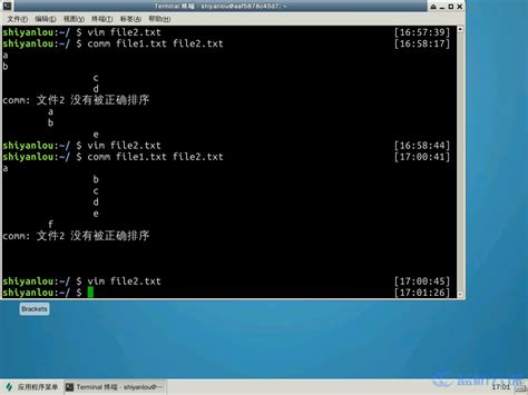 Linux操作 comm diff patch 蓝桥云课