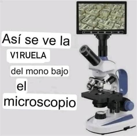 Que Piensas De Esto Mundo Oculto
