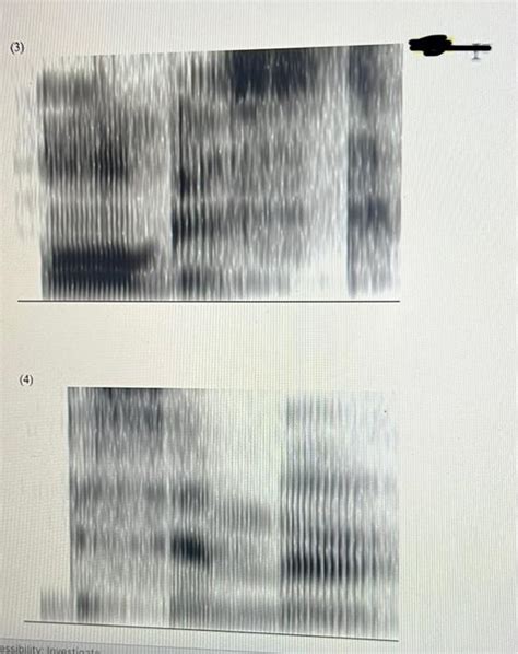 There Are 12 Spectrograms Below Each Representing An