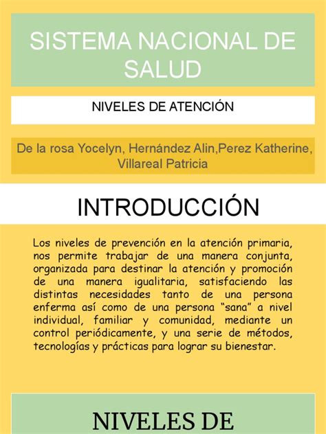 1er Expo Equipo5 Niveles De Prevención Atención Primaria De La Salud
