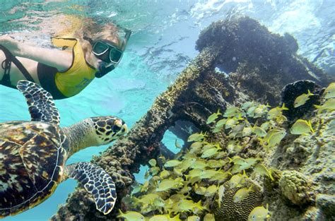 The 5 Best Snorkeling Tours In Cancun 2022 Reviews World Guides To