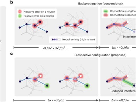 Inferring Neural Activity Before Plasticity As A Foundation For