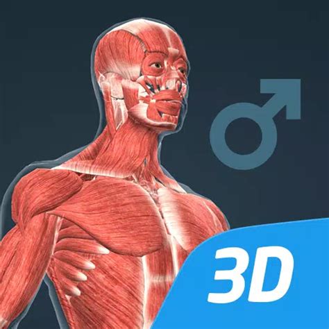 Free Download Human Body Male 3d Scene Apk 134 Newest Version Of Human Body Male 3d Scene