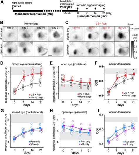Figures And Data In Sensory Experience During Locomotion Promotes Recovery Of Function In Adult