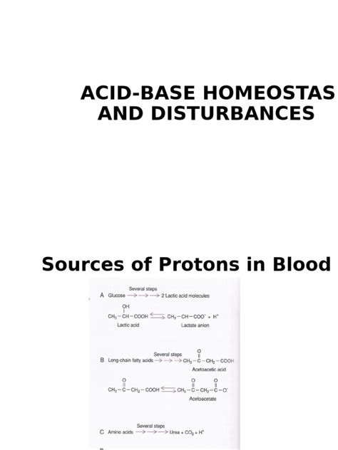Acid Base Homeostasis Pdf