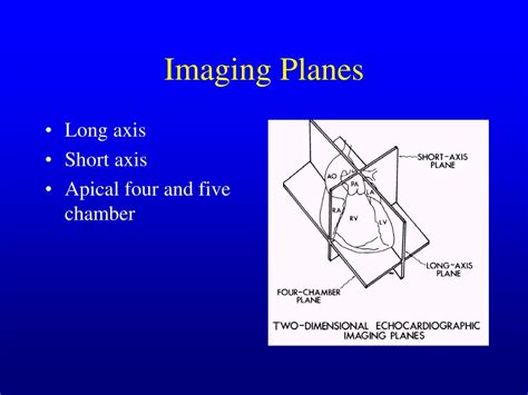 Ppt Assessment Of Left Ventricular Systolic Function Using Echocardiography Powerpoint