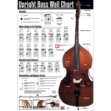 Upright Bass Wall Chart Mel Bay Johnson String Instrument