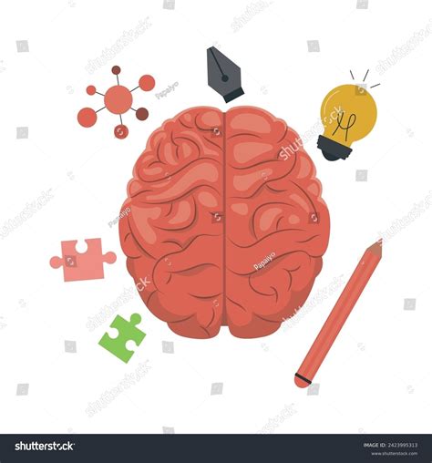Abstract Lines Left Right Brain Functions Stock Vector Royalty Free