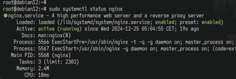 C Mo Instalar Jupyter Notebook Con Nginx Proxy En Debian Howtoforge