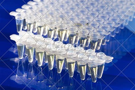 Dna Amplification Photos By Canva