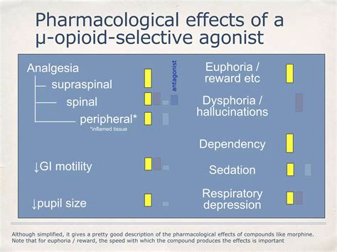 Opioid Analgesics An Introduction Pptx