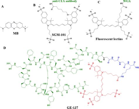 Chemical Structures Of The Nir Fluorescent Probes In The 700 Nm Download Scientific Diagram