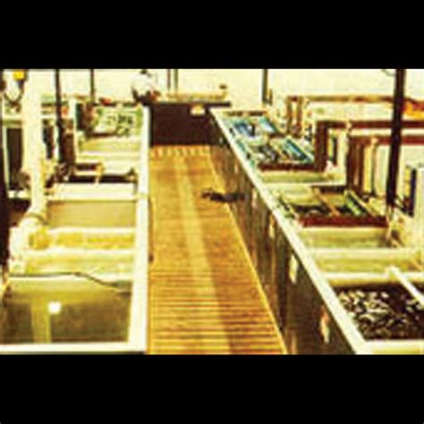 Proteus® Homopolymer Total Plastics