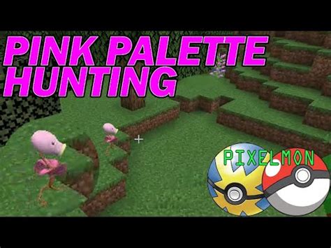 PINK PALETTE HUNTING Pixelmon 24 YouTube