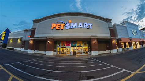 Petsmart Is Throwing A Pawsitively Adorable Party To Celebrate Your Fur