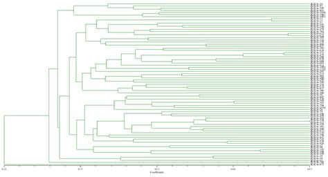 Dendrogram Based On The Dice Similarity Coefficient Showing The 77