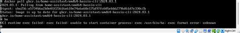Lost Access To Home Assistant Cli Oci Runtime Exec Failed