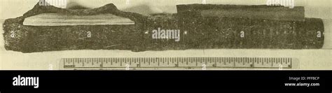 This Image Illustrates The Process Of Biodeterioration Affecting Materials At Deep Ocean Depths