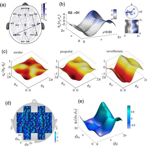 Examples Of δ α Neural Coupling Functions A The Coupling Strength Download Scientific