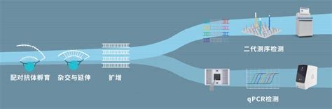 新品发布 百奥益康强势推出olink蛋白质组学⸺新一代精准蛋白质检测技术 知乎
