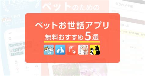 【2024年最新版】おすすめの安否確認・災害伝言版無料アプリ・サービス5選 あぷりーの