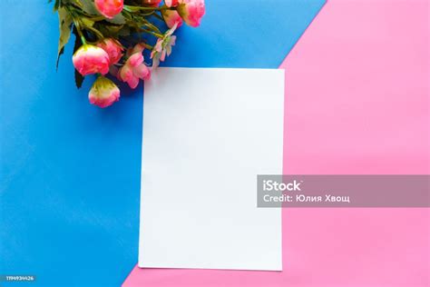 흰색 모형 어머니의 날 분홍색과 파란색 배경에 인사말 카드입니다 텍스트의 공백 복사 0명에 대한 스톡 사진 및 기타 이미지 0명 결혼식 공란 Istock