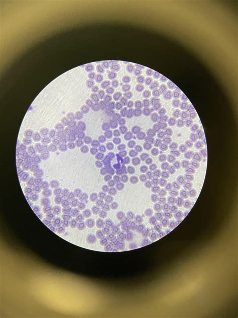 Music In Lab Class Rvettech