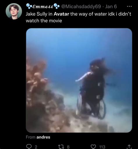 Avatar Meme Avatar Funny Avatar Avatar Movie