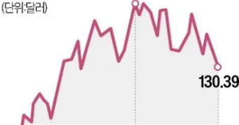 빅테크 Ai칩 개발 나서자…엔비디아 주가 곤두박질