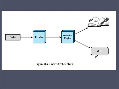 principles and practice ppt download