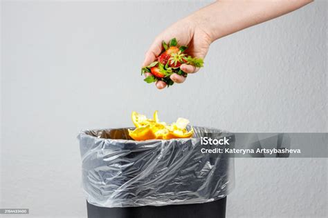 바이오 폐기물을 위한 쓰레기통 쓰레기의 분리수거와 재활용 쓰레기에 대한 스톡 사진 및 기타 이미지 쓰레기 음식 쓰레기통 Istock