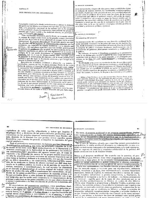 Dos Proyectos De Desarrollo Pdf