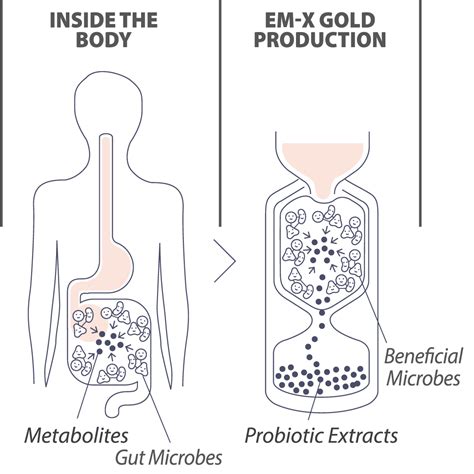 EM X GOLD Transform Your Well Being Naturally With This Fermentation Powerhouse Green EM X GOLD Transform Your Well Being Naturally With This Fermentation Powerhouse Green