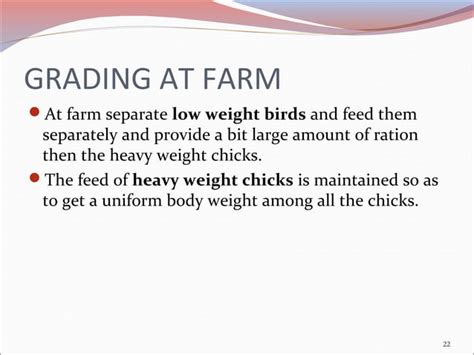 Chick Grading And Sexing Ppt