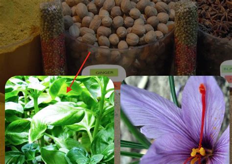 Ios Animations By Tutorials Chapter 19 Presentation Controller And Orientation Animations Kodeco