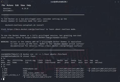 Docker容器逃逸 特权模式 危险挂载 Procfsdocker逃生 Csdn博客