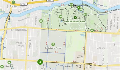 Best Forest Trails In Assiniboine Park Alltrails